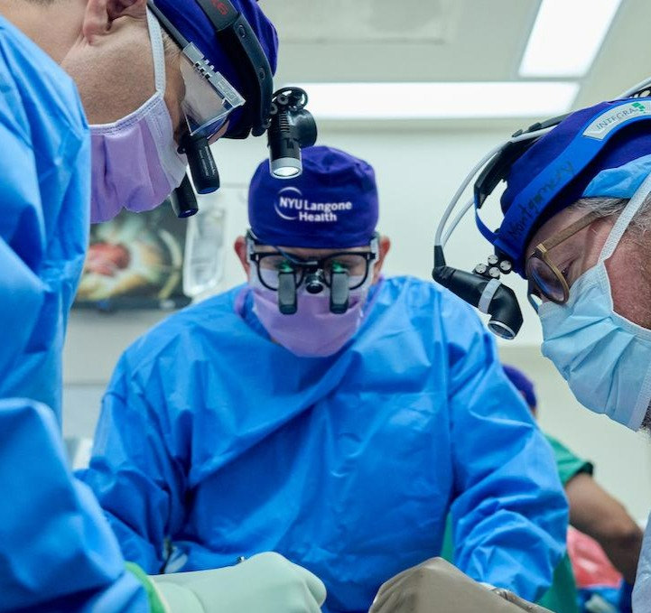 Pigs Could Change Kidney Transplant History Pigs Could Change Kidney Transplant History