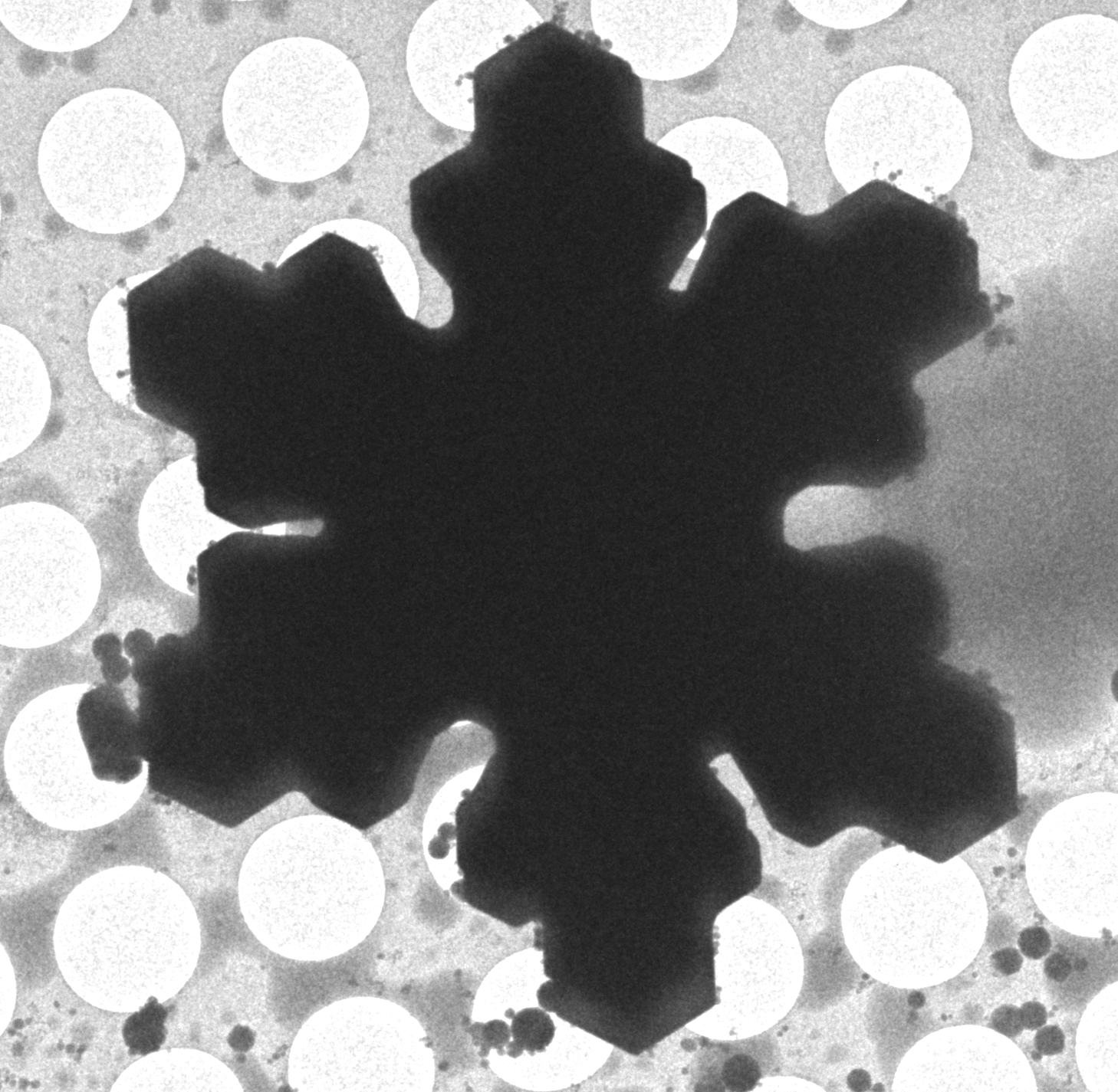 Steve Murray | Cryo Group