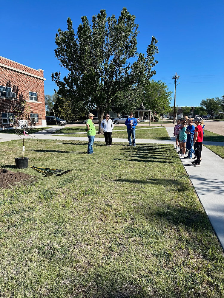 Otis-Bison 4th Graders Plant trees for Arbor Day
