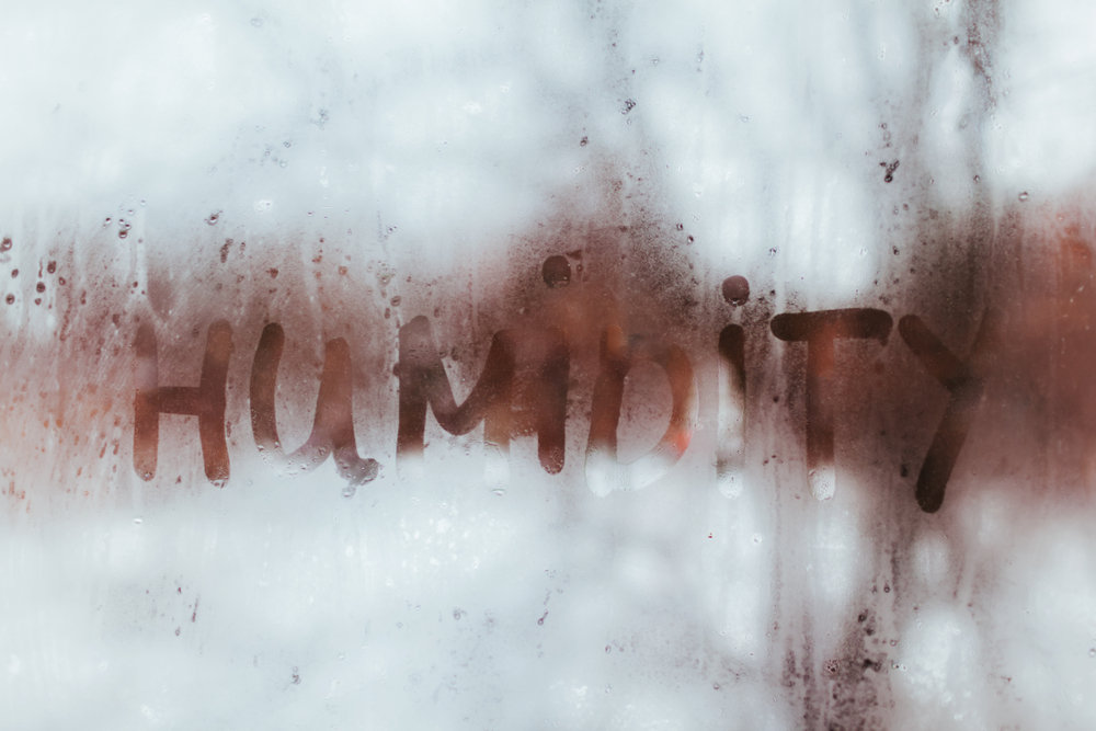 Mastering Winter Humidity Control for a Healthier Home