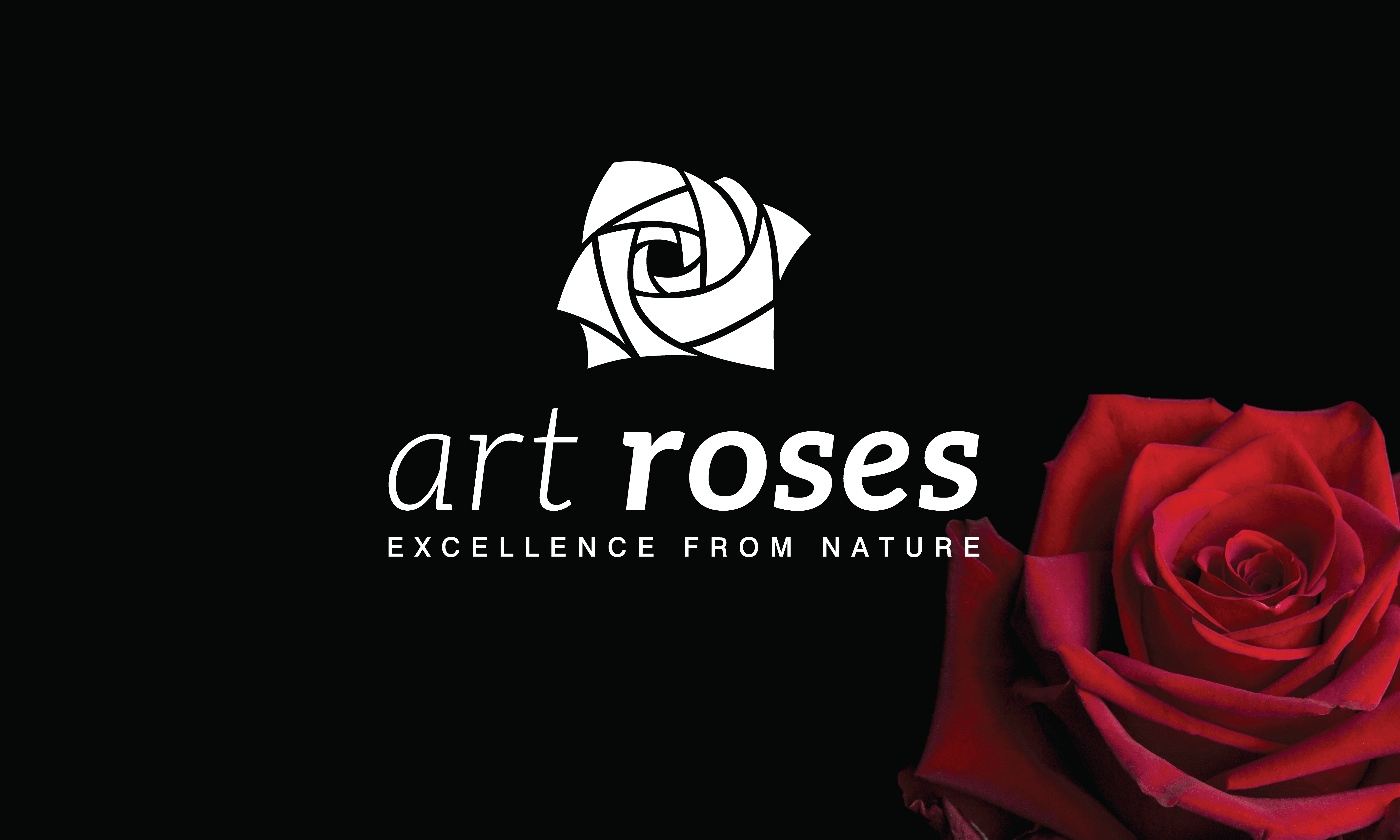 Art Roses Florifrut | Pichincha | ART ROSES by Florifrut