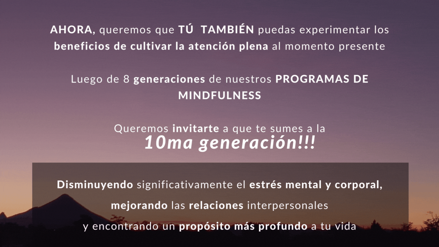 Programas de Mindfulness Online | Reducir estrés y ansiedad | Meditación | Coach