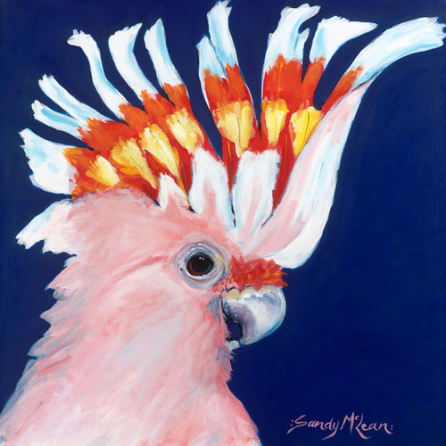 Major Mitchell | Sandymclean.com.au