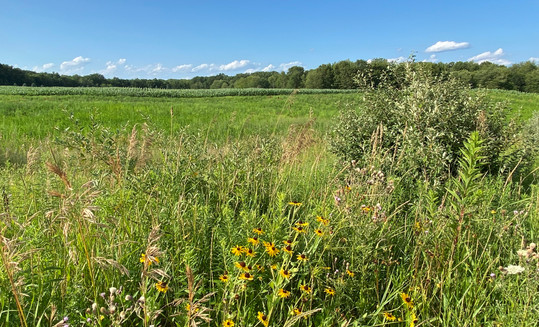 PARKS & RECREATION | Pierson Township