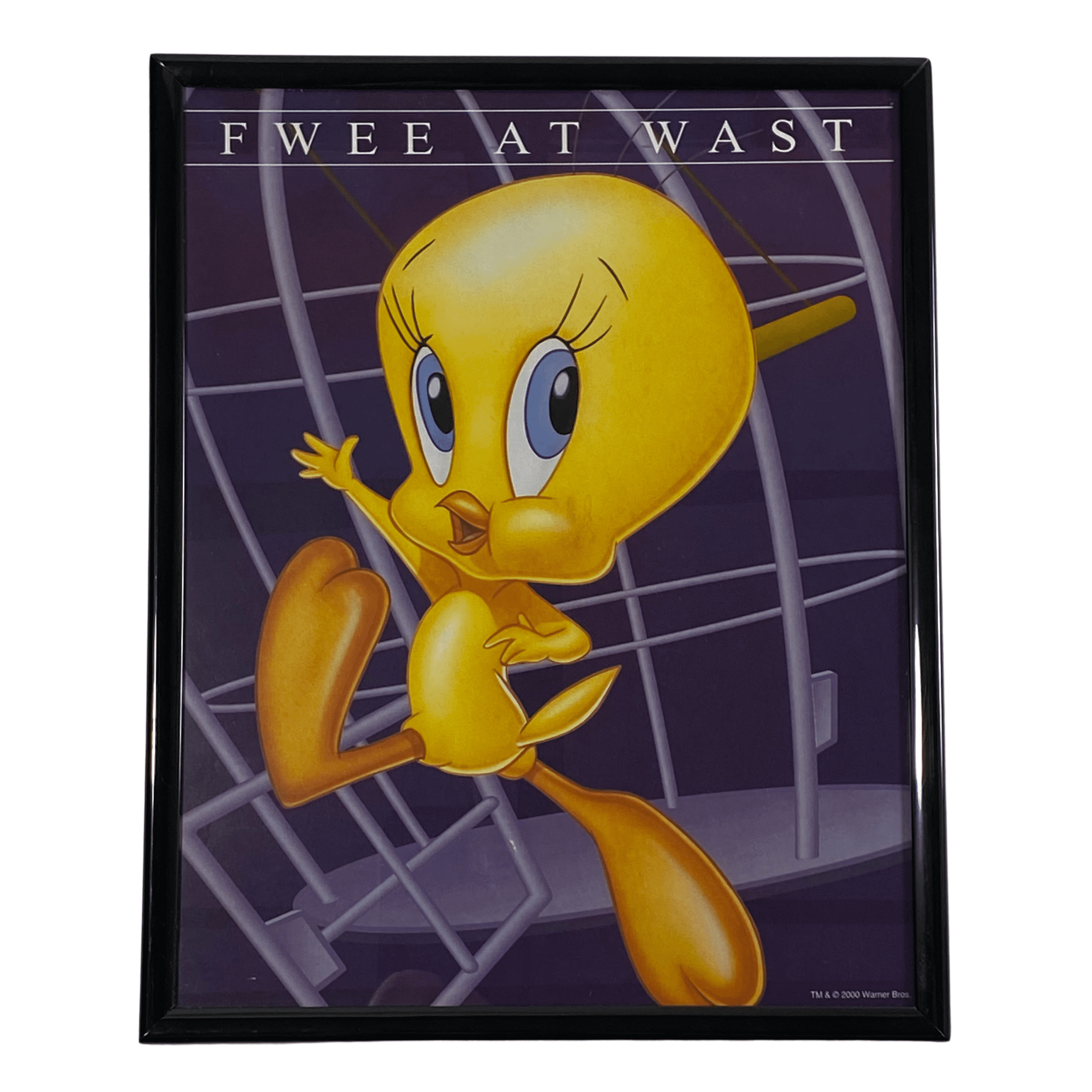 warner-bros-vintage-2000-tweety-bird-8-10-5-framed-poster-photo-print ...
