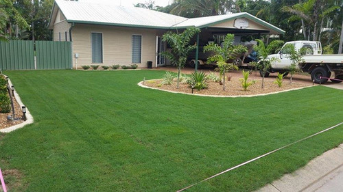All Turf Varieties and Turf Products | Turf NT