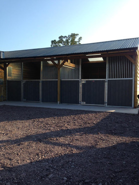 Gallery | Tailored Equine Stables