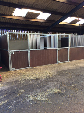 Gallery | Tailored Equine Stables