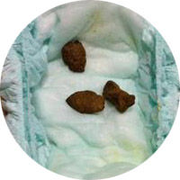 Fifty Shades of Poo - the ultimate scoop on baby poop