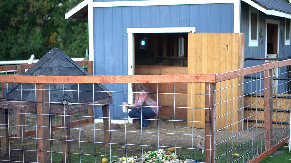 Building a Secure pig pen