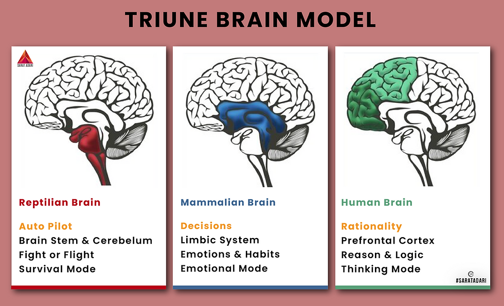 Human Behavior - The Amygdala Hijack