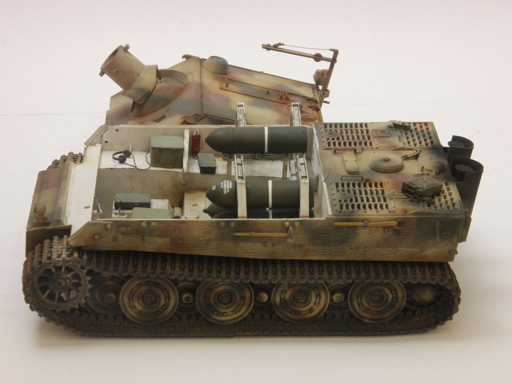 Strumtiger with basic interior