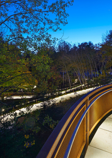 University of Toronto Scarborough Campus Valley Land Accessible Trail