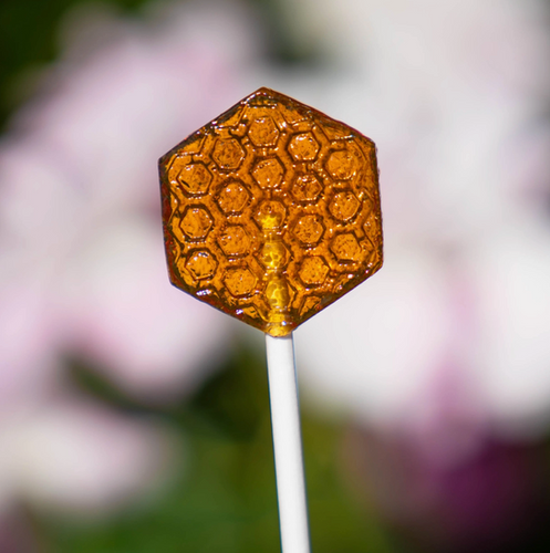 Honey Lollipop | Gees Bees Honey Co
