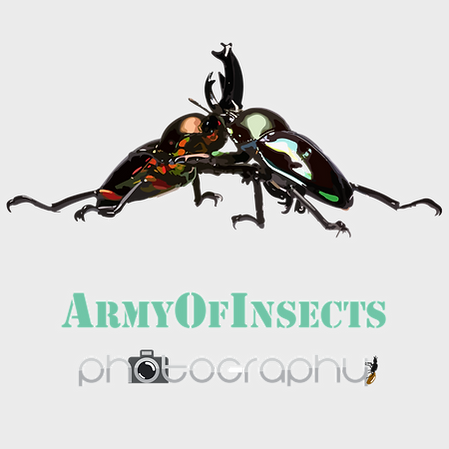 AP Photo | Army of Insects