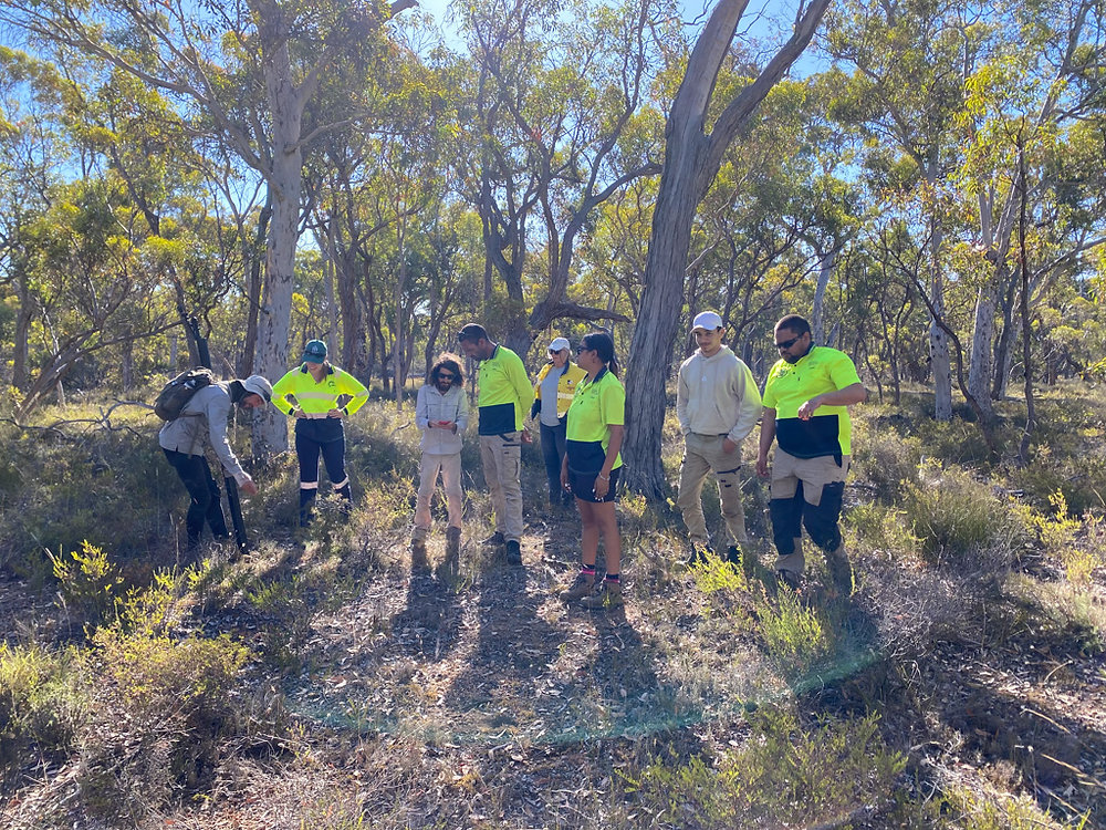 Rangers On Country at the Balijup Fauna Sanctuary