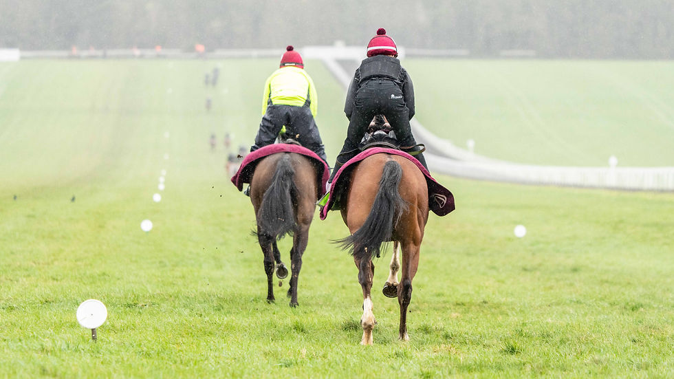 Patrick Owens | Training & Racing | Newmarket