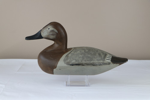 Robert Litzenberg | Elkton, MD | Canvasback Hen | Mysite