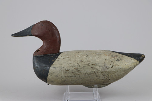 Canvasback Drake Samuel T Barnes Havre de Grace Md | Mysite
