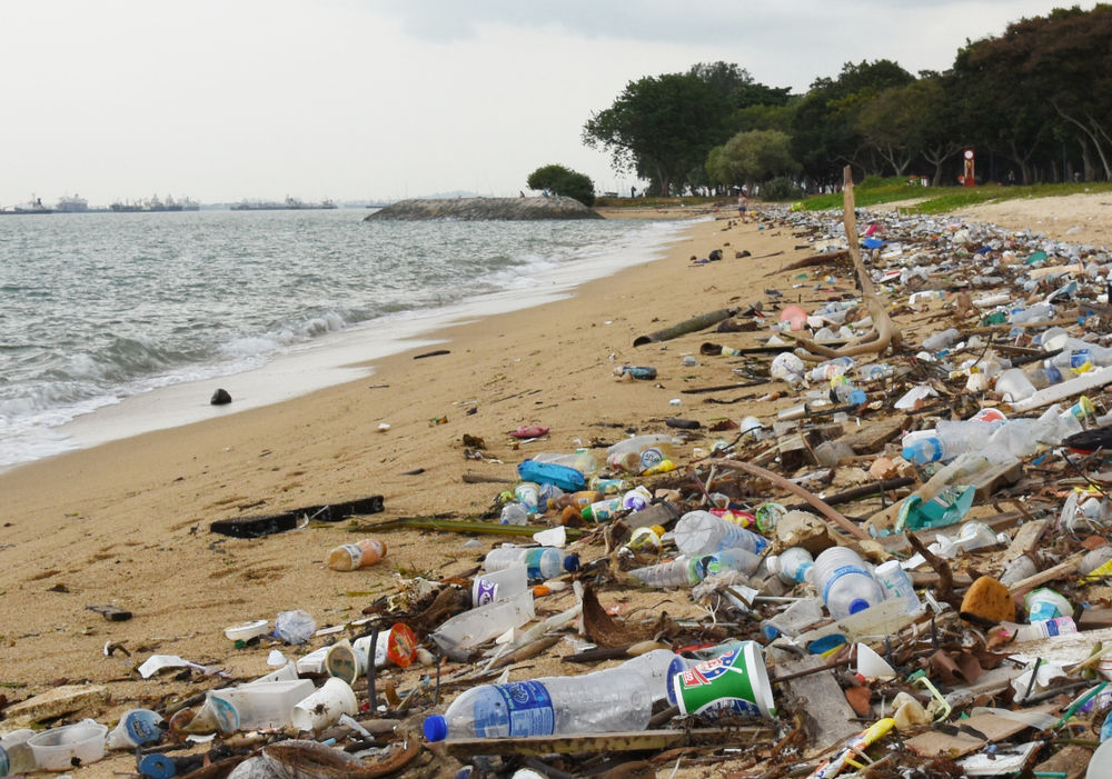 Why Beach Clean-Ups are Important
