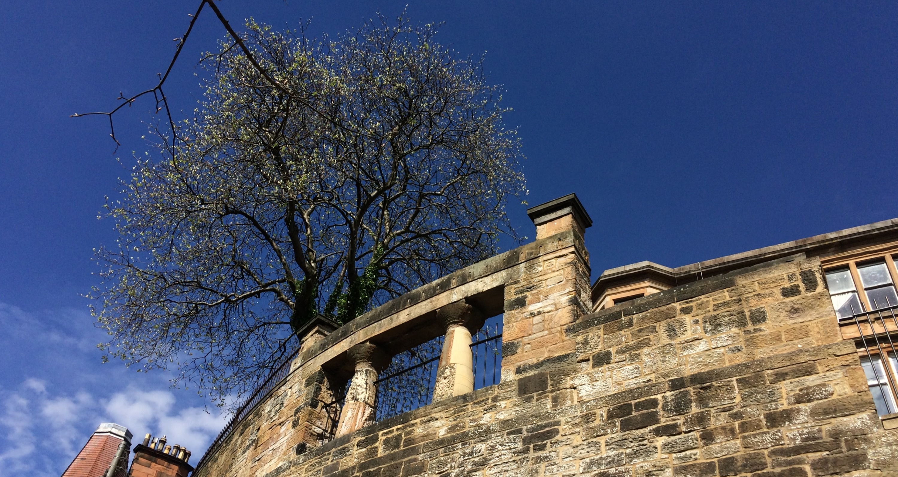 Preservation Trust | The Sixty Steps | Scotland