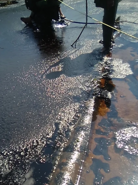 Guanoco project | Terquimca