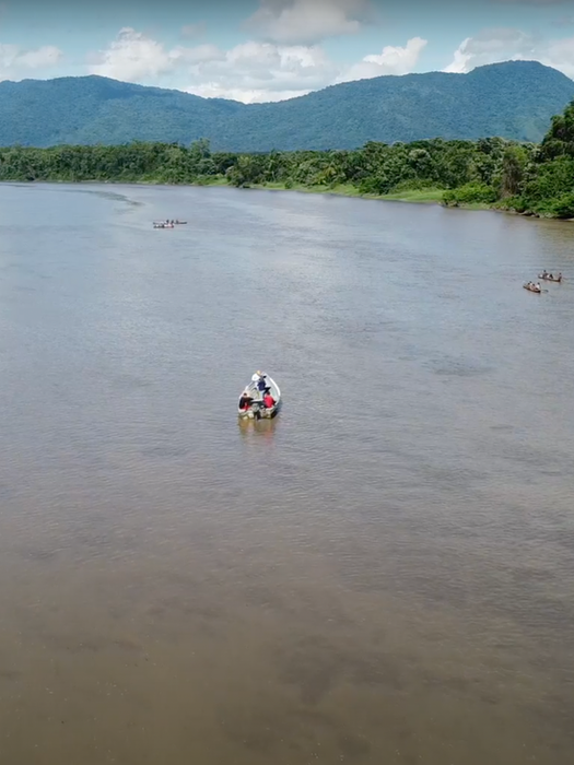 Guanoco project | Terquimca