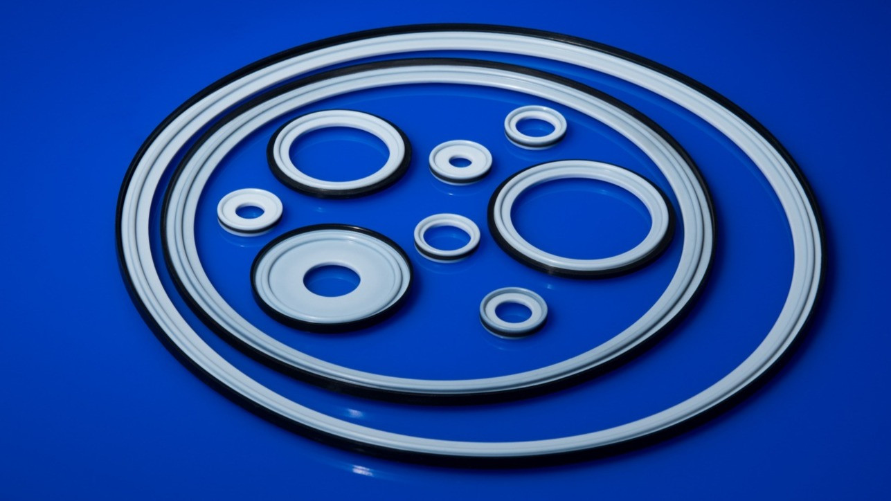 Pharmaceutical Gasket Manufacturer | Ultrapharma bv | Netherlands