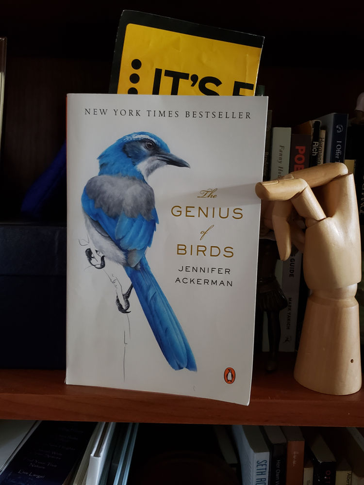 Jennifer Ackerman's The Genius of Birds and "Radical" Ways of Reading ...