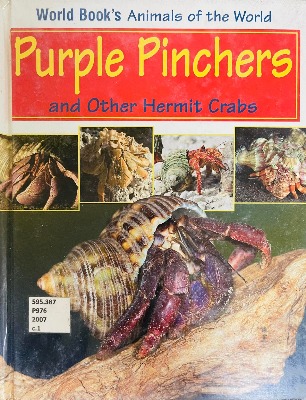 WB Animals of the World: Purple Pinchers and Other Hermit Crabs
