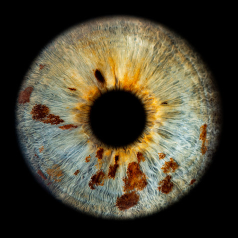 Work | Concrete Iris