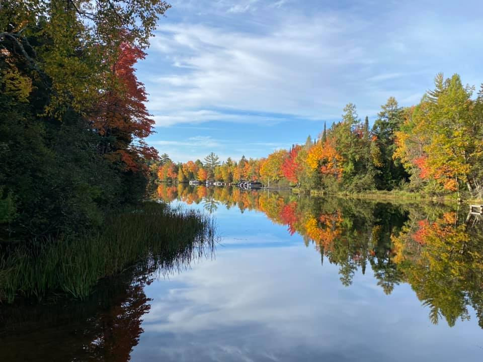 Fall Stays | The Last Resort