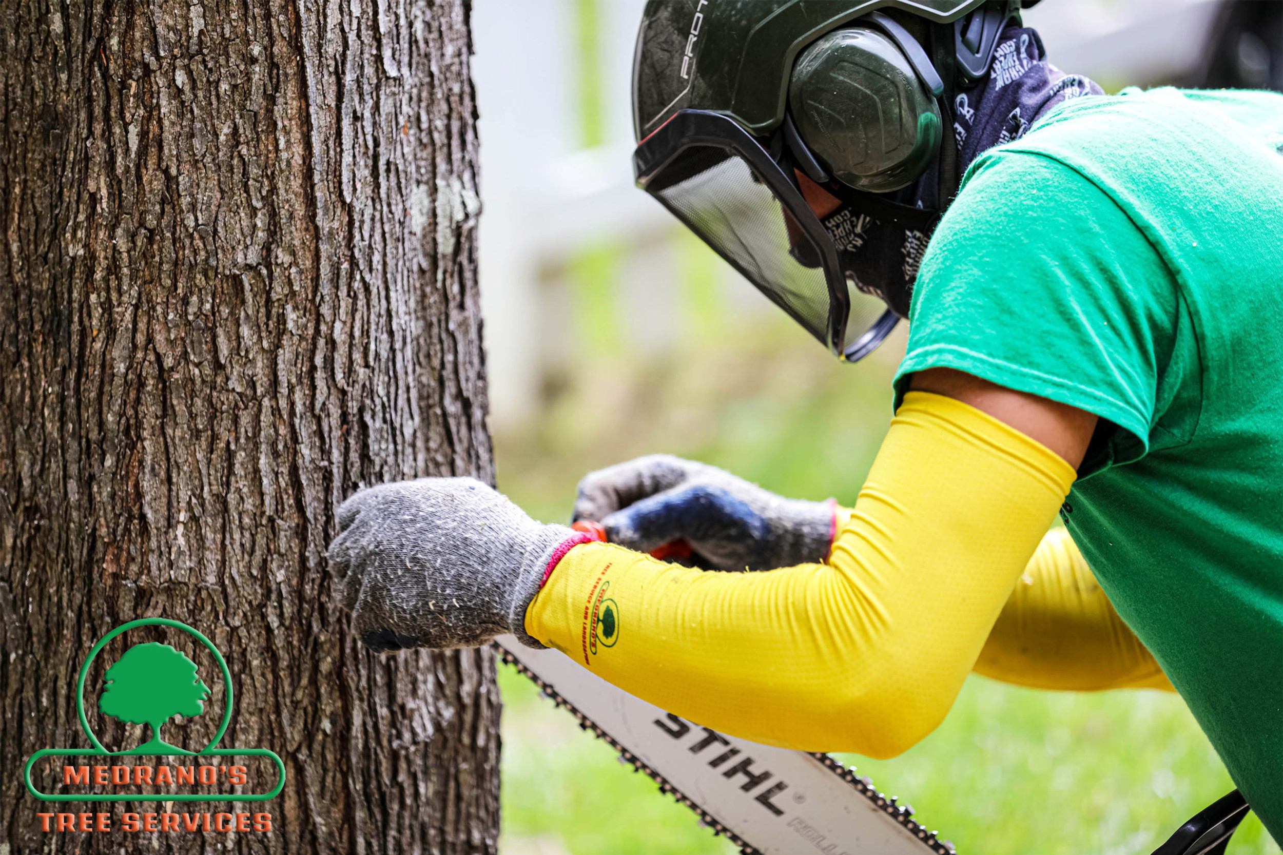 Raleigh-Durham Triangle Tree Service | Medrano's Certified Arborist