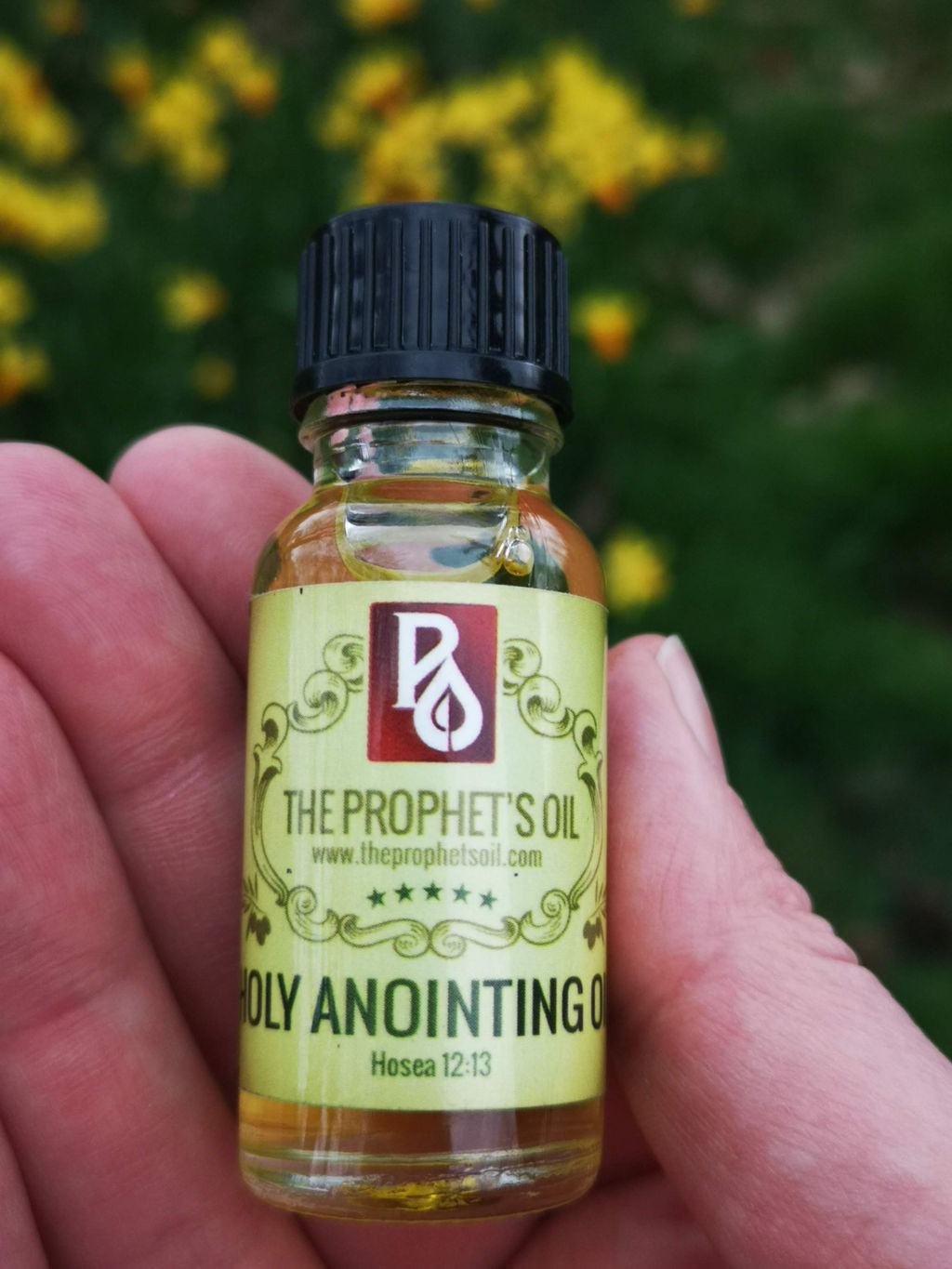 Prayer Resources | The Prophet's Oil