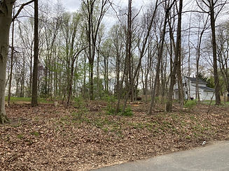 Quality Tree Service | Sam The Tree Guy LLC