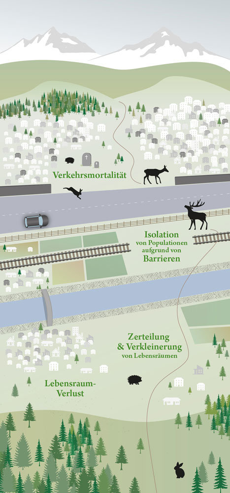 lebensraumvernetzung.at