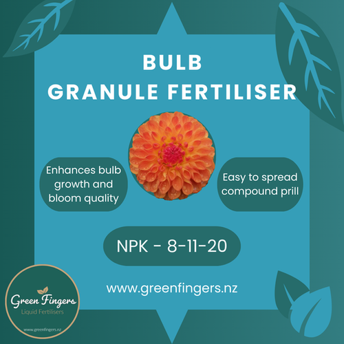 Bulb Granular Fertiliser | Green Fingers NZ