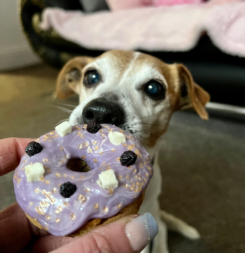 Perfect Pet Patisserie Bespoke Donuts for Dogs | Perfect Pet Club