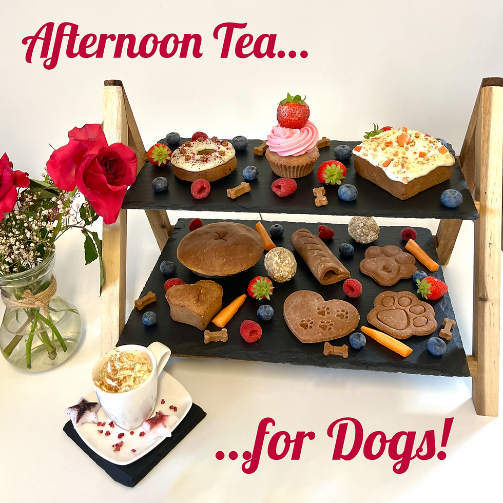 Perfect Pet Patisserie | Dog Bakery | Dog Birthday Cake | Dog Wedding ...