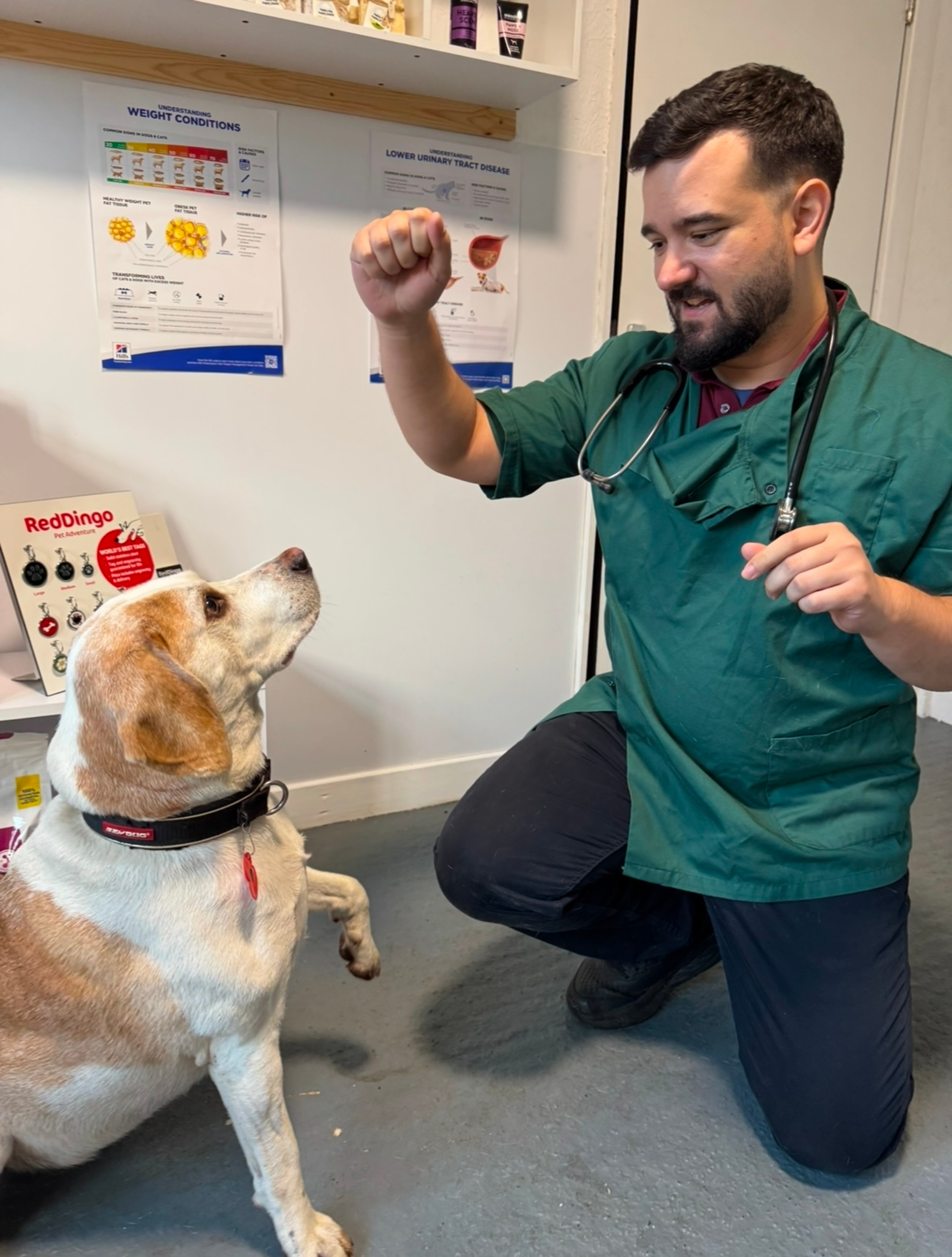 Your Community Vet | Veterinary Practice | Vet | Small Animal Vet | Pet ...