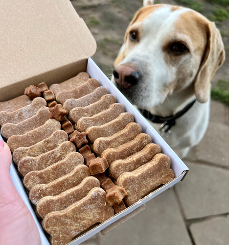 Perfect Pet Patisserie Biscuit Box for Dogs | Perfect Pet Club