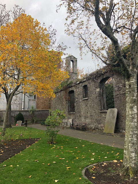St. Kevin's Park, Dublin