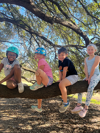 Day Camps | Austin Youth Fitness