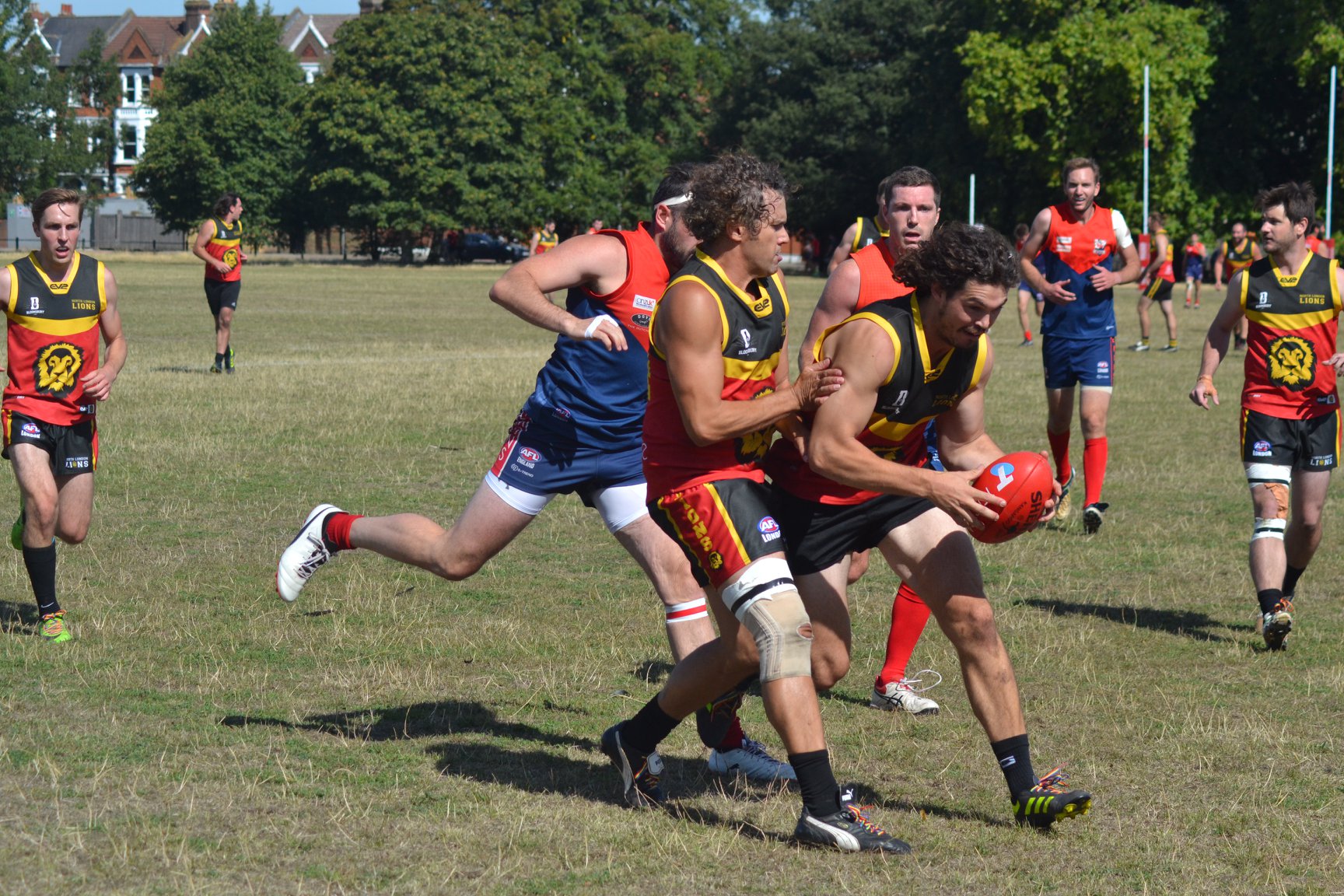 North London Lions | AFL in Greater London