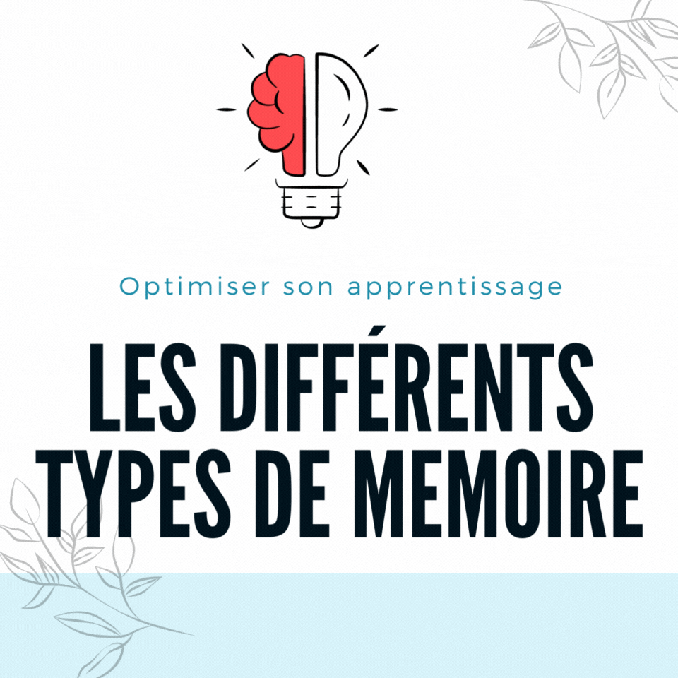 Optimiser son apprentissage- Les différents types de memoire