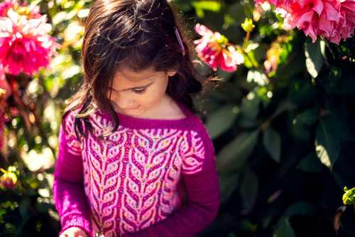 Broadleaf Mini | Wool & Pine Designs