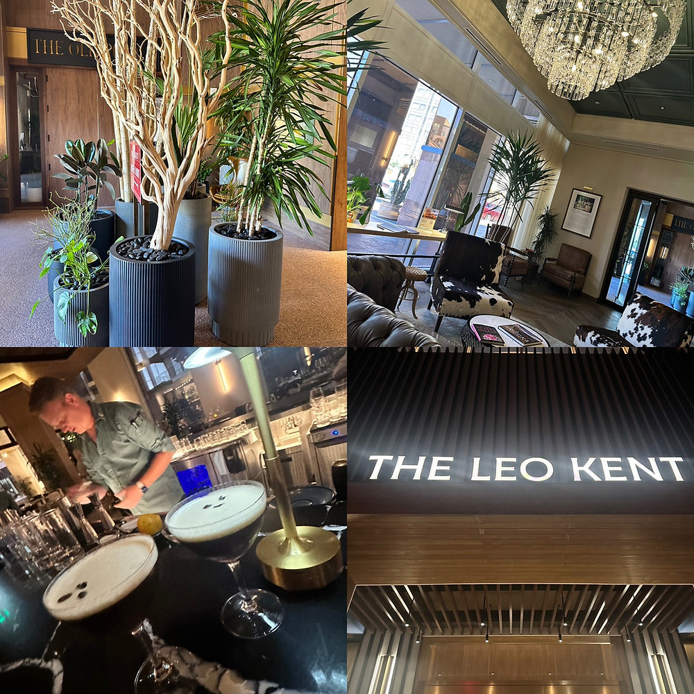 The Leo Kent Hotel, Tucson, a Tribute Portfolio by Marriott Bonvoy.