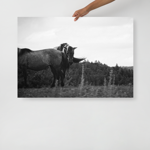 Peek a baby poster | Apollo Imperium