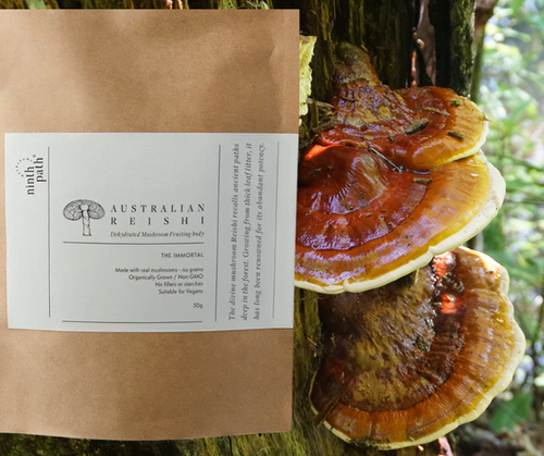 Ninth Path Mushrooms Reishi Mushroom Powder | Rooted Nutrition