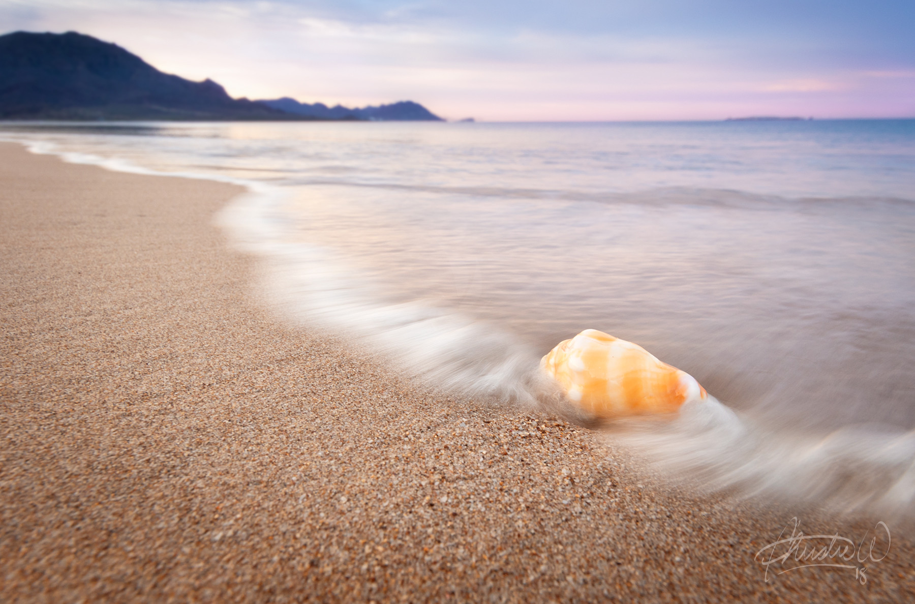 Nature Decor, Portraits | Peace of Nature Photography | United States